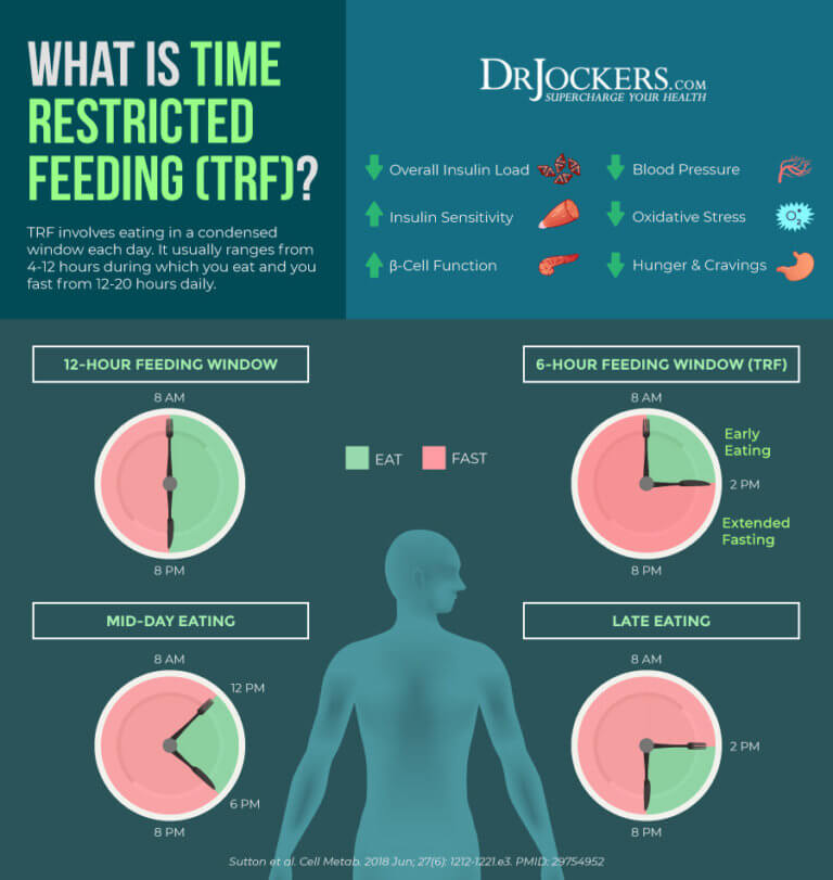 Time Restricted Feeding Improves Digestion and The Microbiome