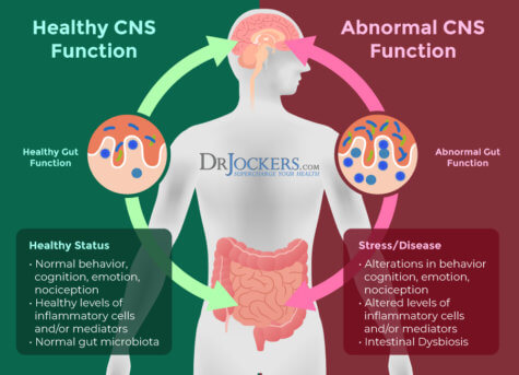 The Leaky Gut Protocol - DrJockers.com