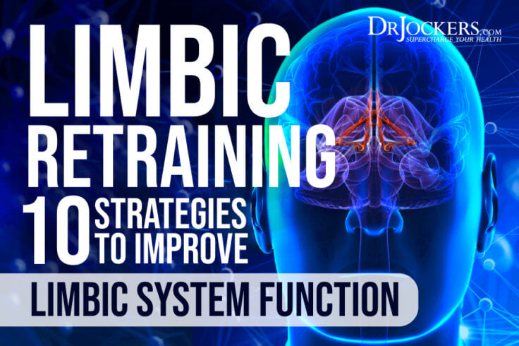 Limbic Retraining: 10 Strategies to Improve Limbic System Function