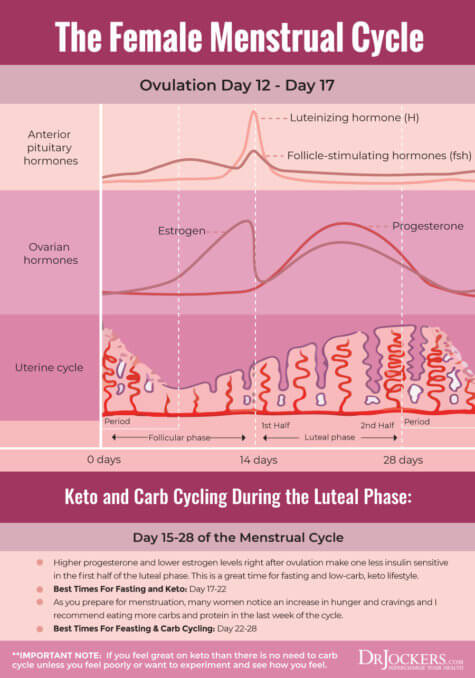 Menstrual Cycle Optimization with Feast/Famine Cycling - DrJockers.com