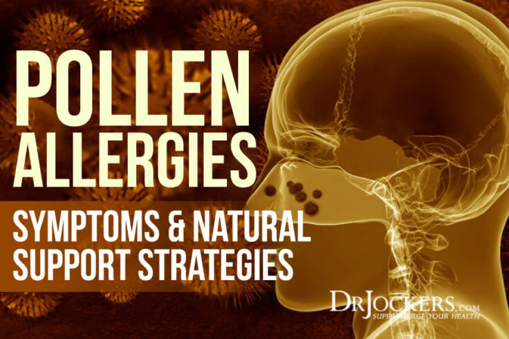 Pollen Allergies: Symptoms & Natural Support Strategies