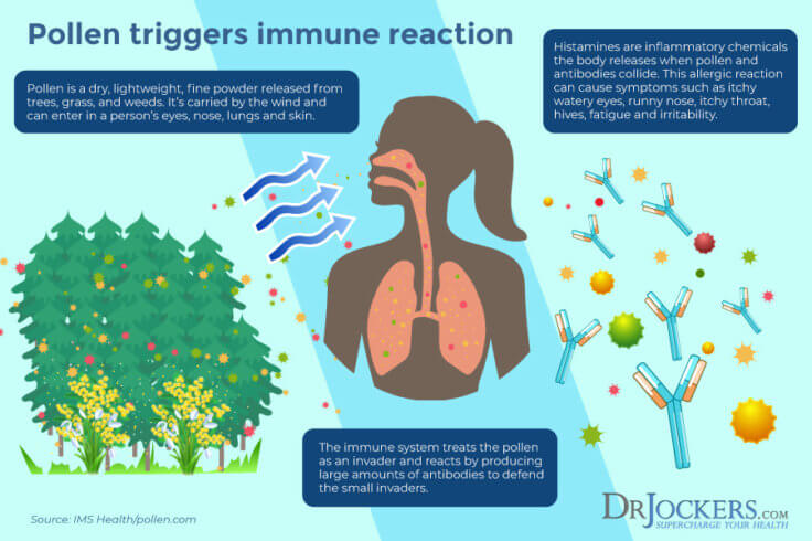 Pollen Allergies: Symptoms & Natural Support Strategies