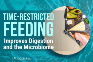 Time Restricted Feeding Improves Digestion and The Microbiome