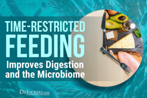 Time Restricted Feeding Improves Digestion and The Microbiome