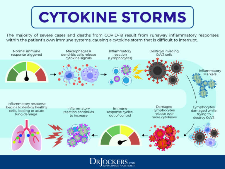 Immune Nutrients to Calm Cytokine Storm - DrJockers.com