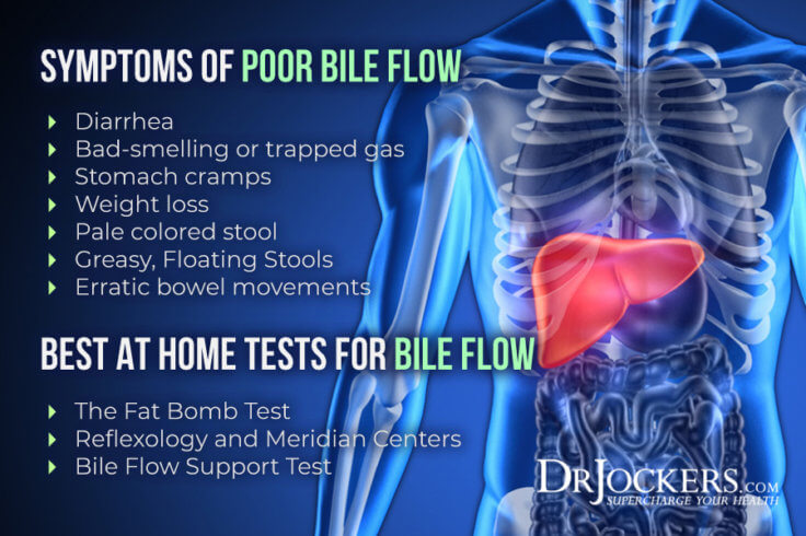 Functional Digestive Health Testing to BioHack Your Gut! - DrJockers.com