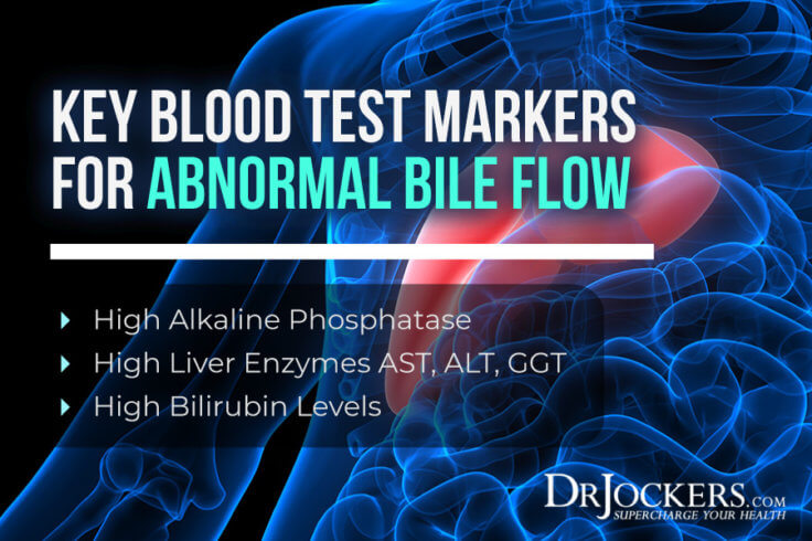 Functional Digestive Health Testing to BioHack Your Gut! - DrJockers.com