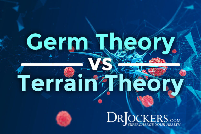 Germ Theory vs Terrain Theory of Health & Disease