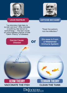 Germ Theory vs Terrain Theory of Health & Disease