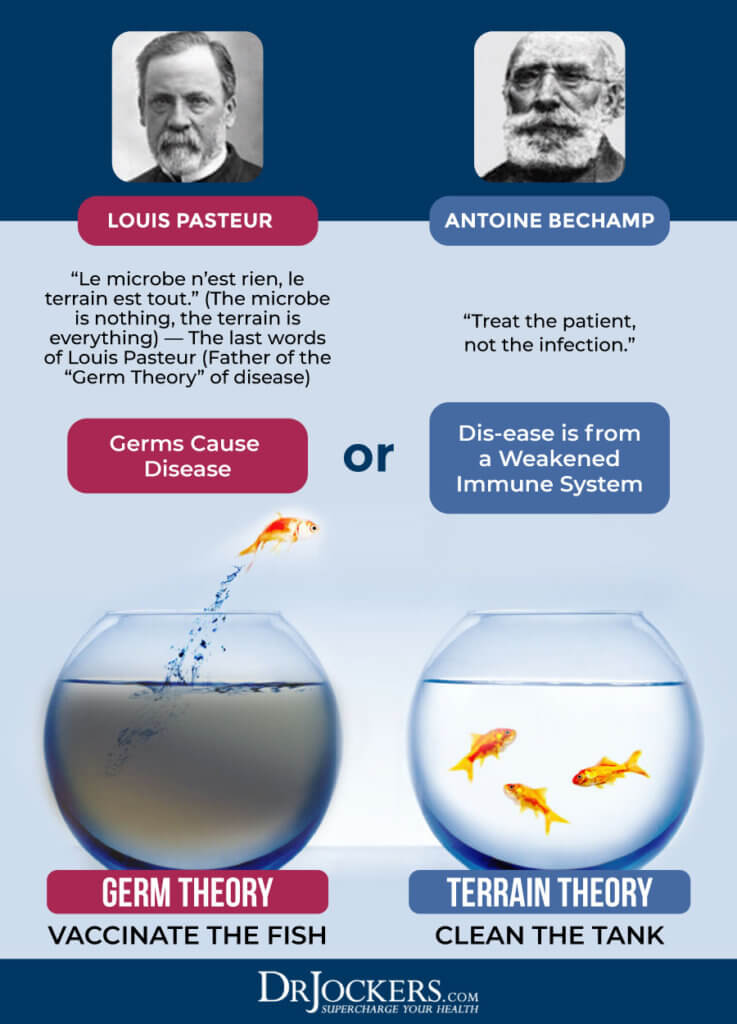 Germ Theory vs Terrain Theory of Health & Disease