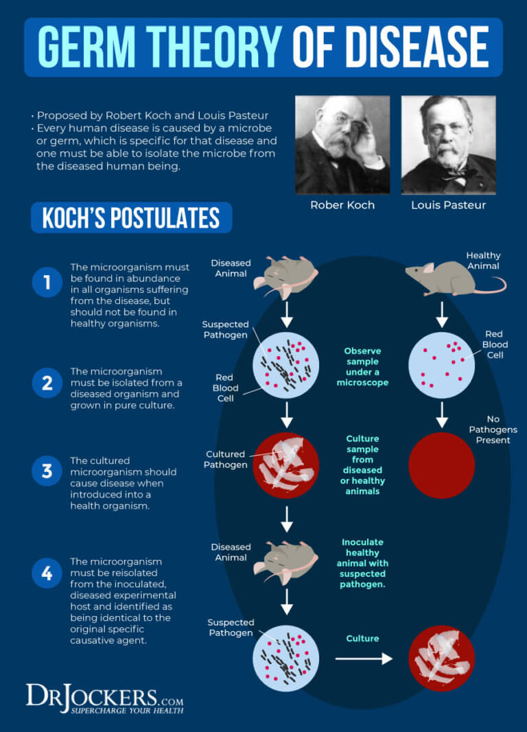 Germ Theory vs Terrain Theory of Health & Disease