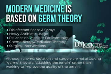 Germ Theory vs Terrain Theory of Health & Disease