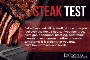 Functional Digestive Health Testing to BioHack Your Gut! - DrJockers.com