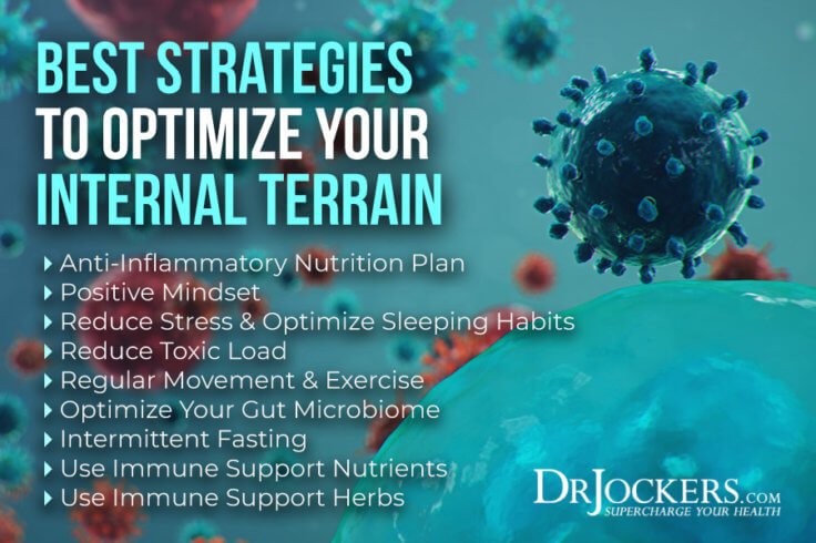 Germ Theory vs Terrain Theory of Health & Disease