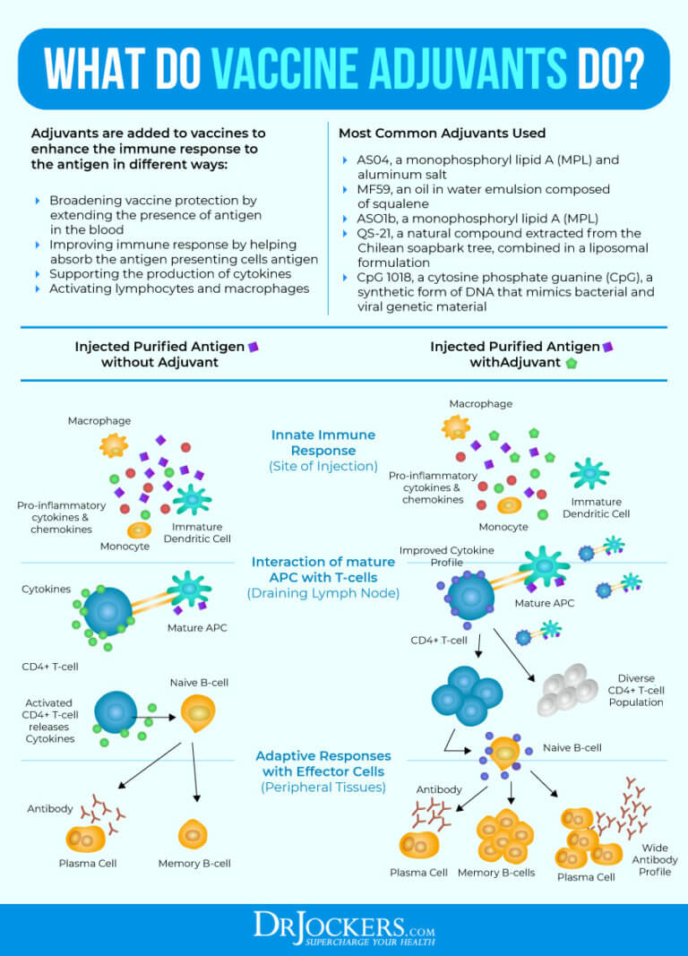 Vaccine Adjuvants: What Are They and How To Detox Properly