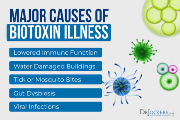 BioToxin Illness: Symptoms, Causes and Healing Protocol