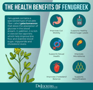 Top 7 Herbs To Support Healthy Blood Sugar Levels