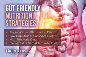 Dysbiosis: What is It and How to Heal Your Microbiome - DrJockers.com