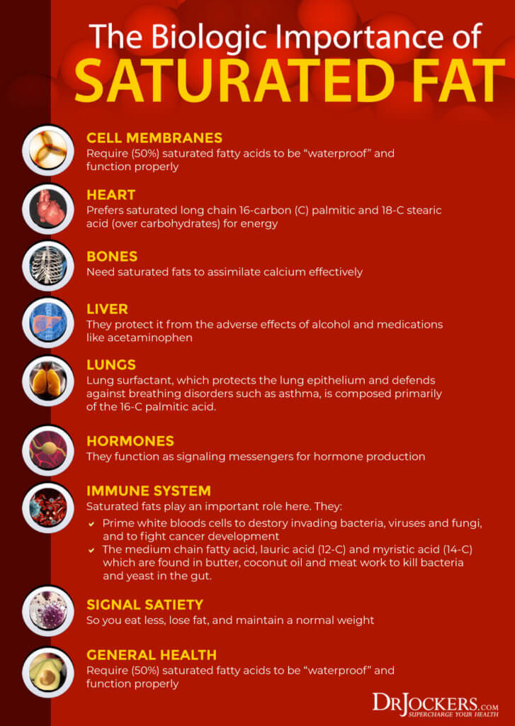 Trouble Digesting Fats: 8 Hacks to Improve Fat Metabolism
