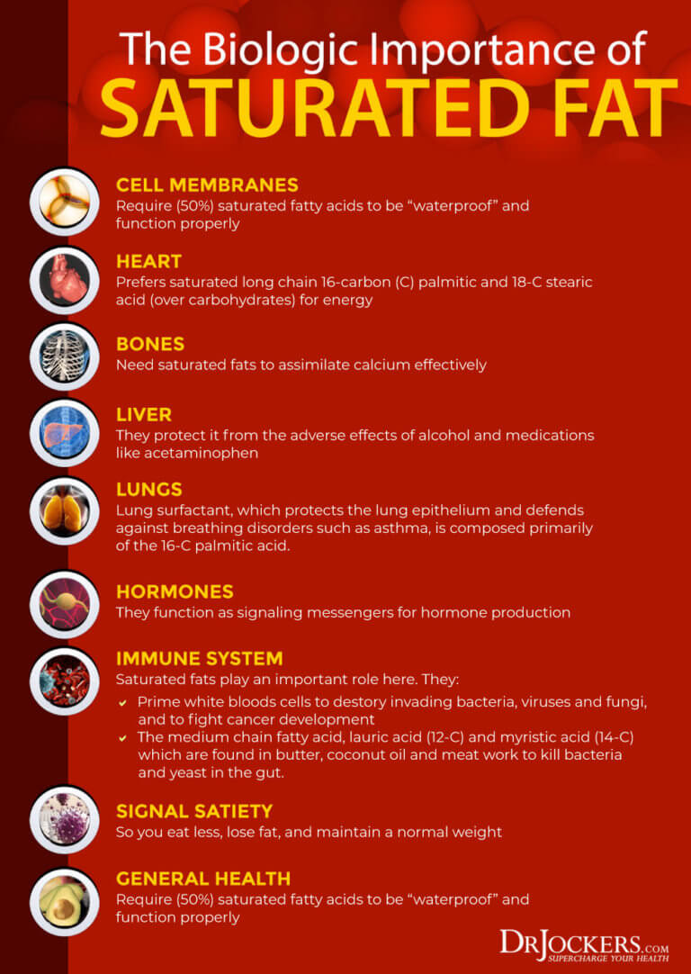 Trouble Digesting Fats: 8 Hacks to Improve Fat Metabolism