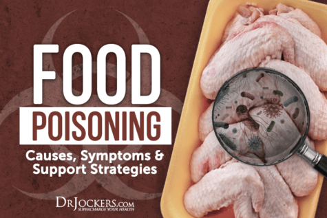 Food Poisoning: Causes, Symptoms & Support Strategies - DrJockers.com