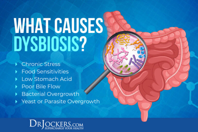 Dysbiosis: What is It and How to Heal Your Microbiome - DrJockers.com