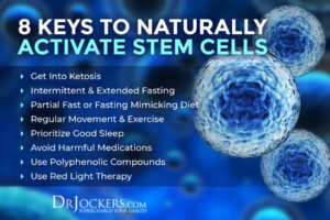 Stem Cells What Are They And 8 Ways To Activate Them Drjockers