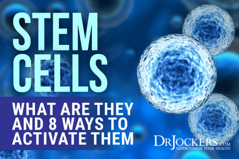 Stem Cells: What Are They and 8 Ways to Activate Them - DrJockers.com