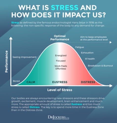 Stress Resilience: 12 Strategies to Grow Stronger Through Stress