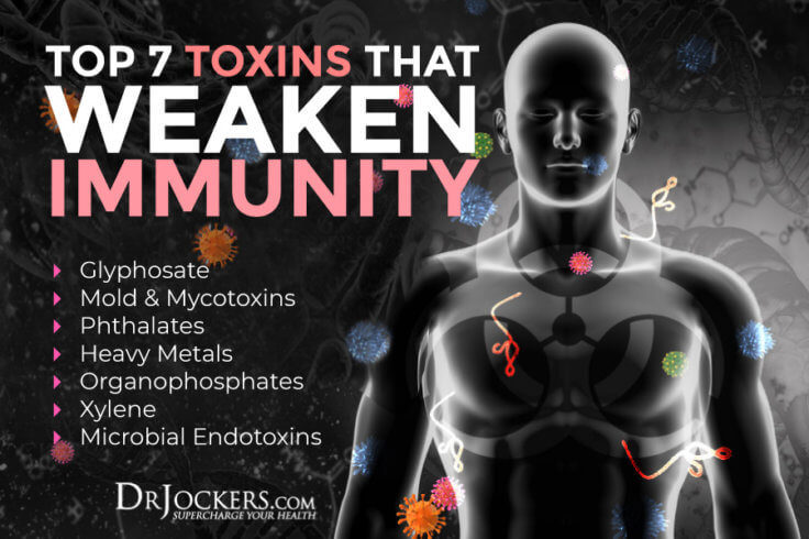 7 Toxins That Weaken Immunity and How To Detox