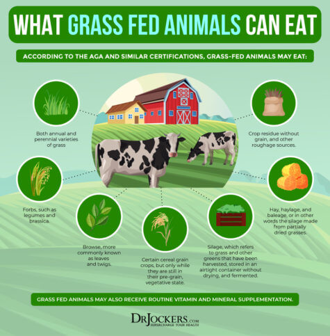 Conscious Carnivore: How To Find Ethically Sourced Meat