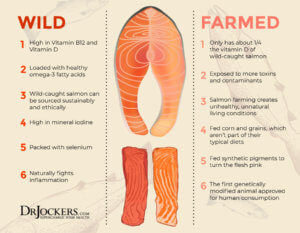 Conscious Carnivore: How To Find Ethically Sourced Meat