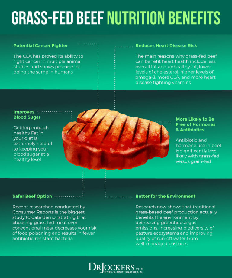 Conscious Carnivore: How To Find Ethically Sourced Meat