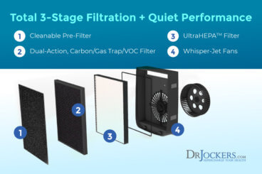 Air Doctor Review: Home Air Purification For Immune Health