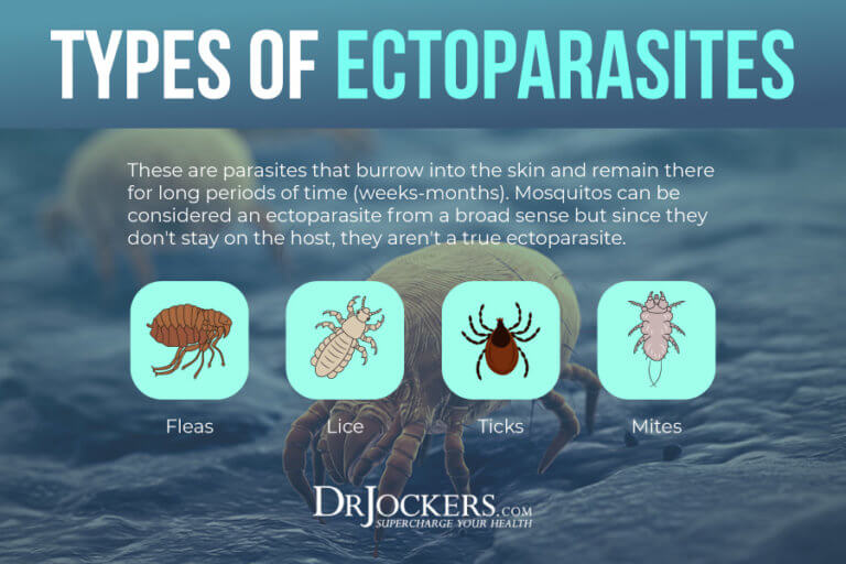 Parasite Infections: Functional Lab Analysis To Identify Parasites