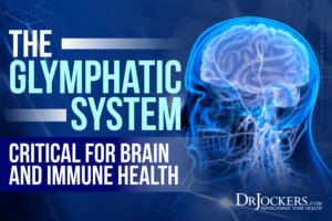 Glymphatic System: Critical For Brain and Immune Health