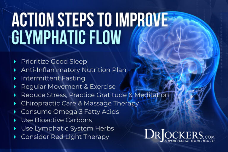 Glymphatic System: Critical For Brain and Immune Health
