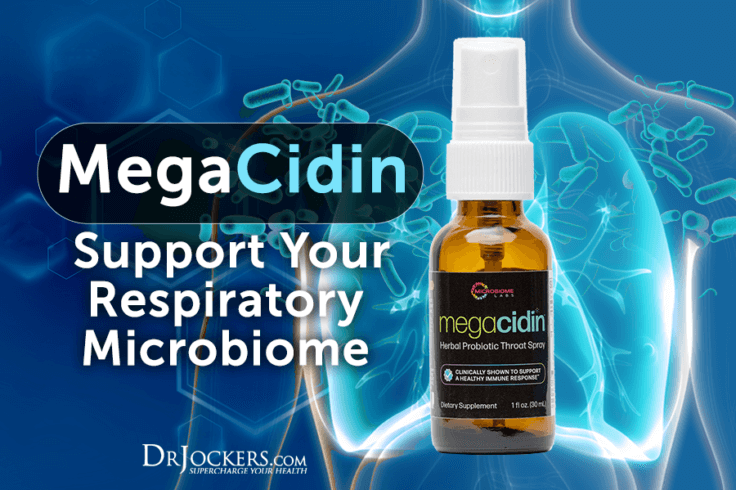 Immune System Archives - DrJockers.com