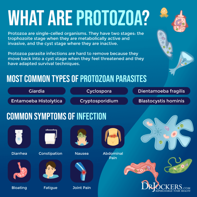 Parasite Infections: Functional Lab Analysis To Identify Parasites