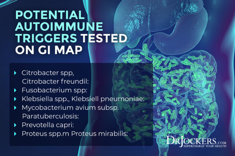 GI MAP Interpretation: Discover The Health of Your Microbiome