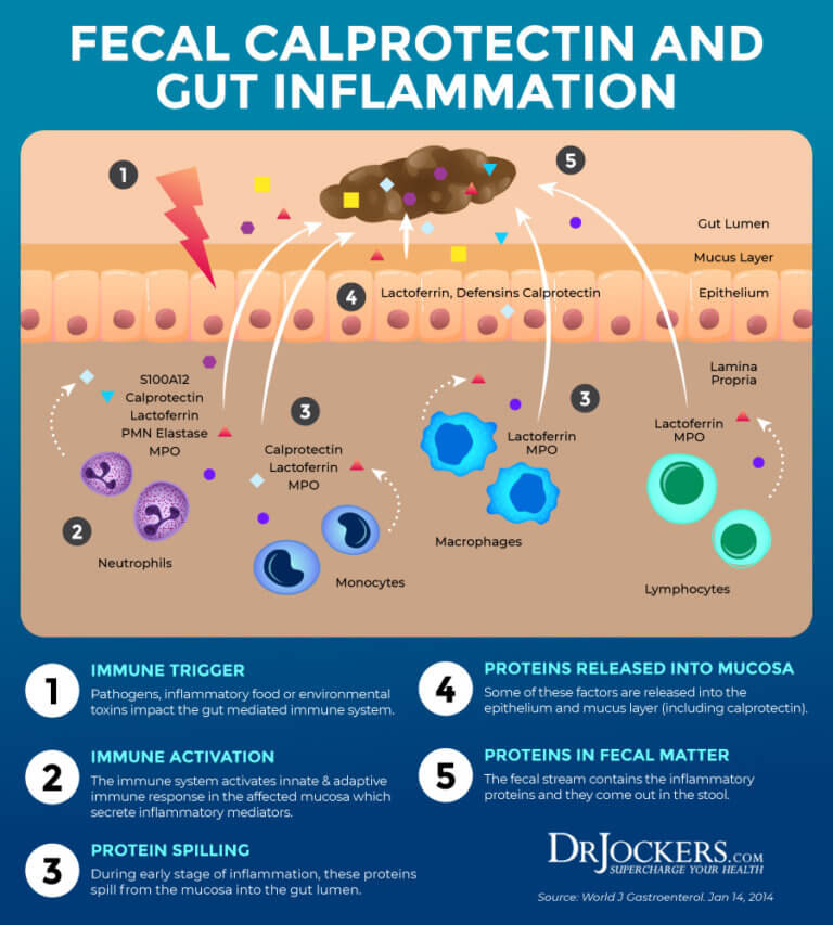 GI MAP Interpretation: Discover The Health of Your Microbiome