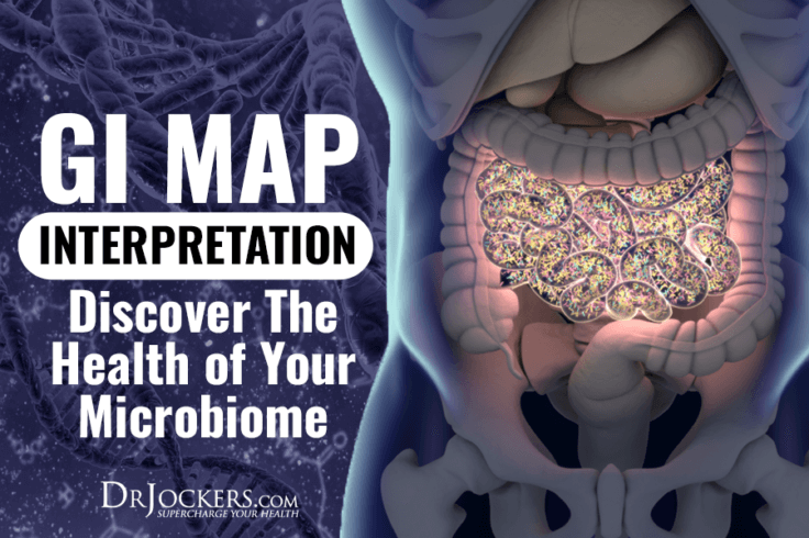 GI MAP Interpretation: Discover The Health of Your Microbiome
