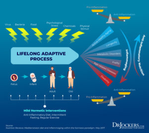 Inflammaging: The Role of Inflammation in Aging