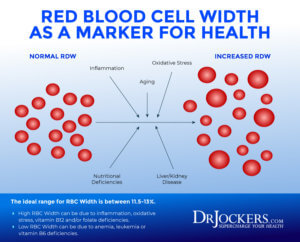 Top 12 Inflammatory Lab Markers and Optimal Ranges