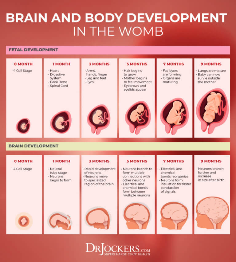 Pregnancy Diet: Nutrition Principles for Growing a Healthy Baby