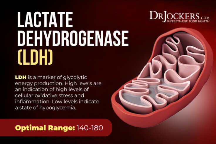 Top 12 Inflammatory Lab Markers and Optimal Ranges