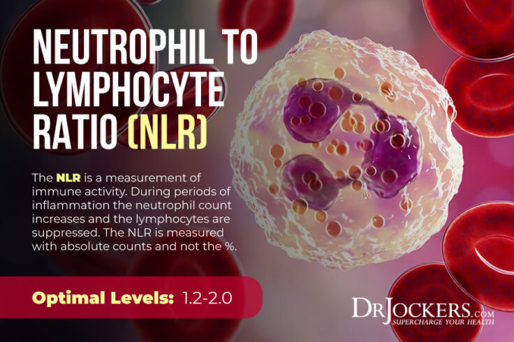 Top 12 Inflammatory Lab Markers and Optimal Ranges