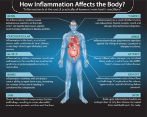 Top 12 Inflammatory Lab Markers and Optimal Ranges