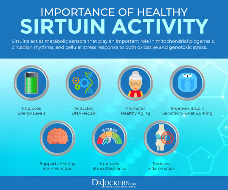 Sirtuins: How to Activate Them For Healthy Aging - DrJockers.com