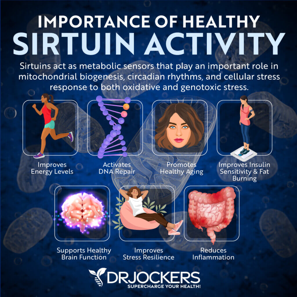Sirtuins: How to Activate Them For Healthy Aging - DrJockers.com